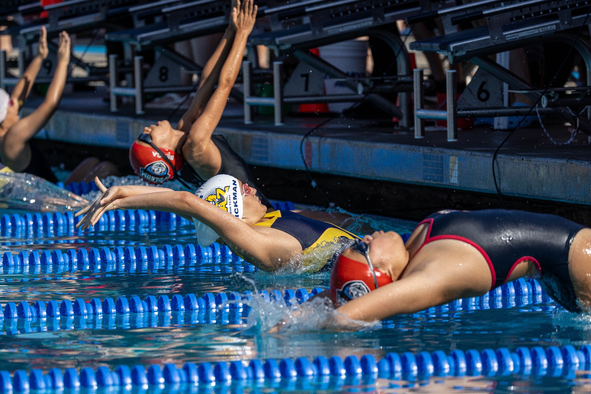 EDH Tasmanian Devils Home