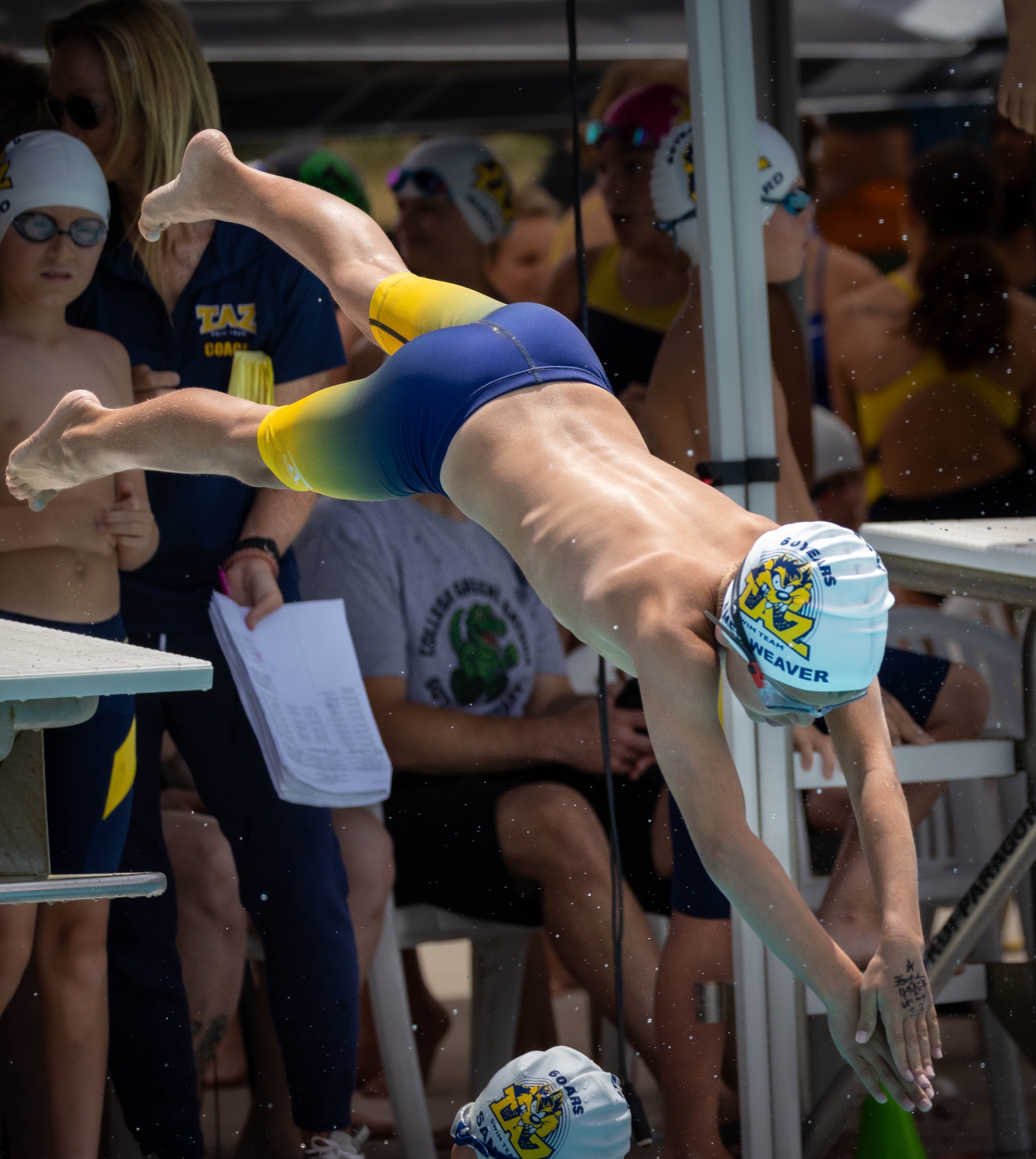 EDH Tasmanian Devils Home