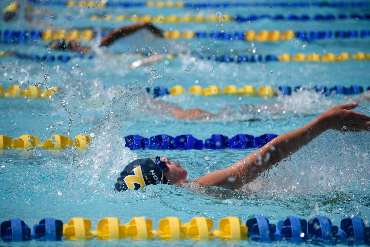 EDH Tasmanian Devils Home