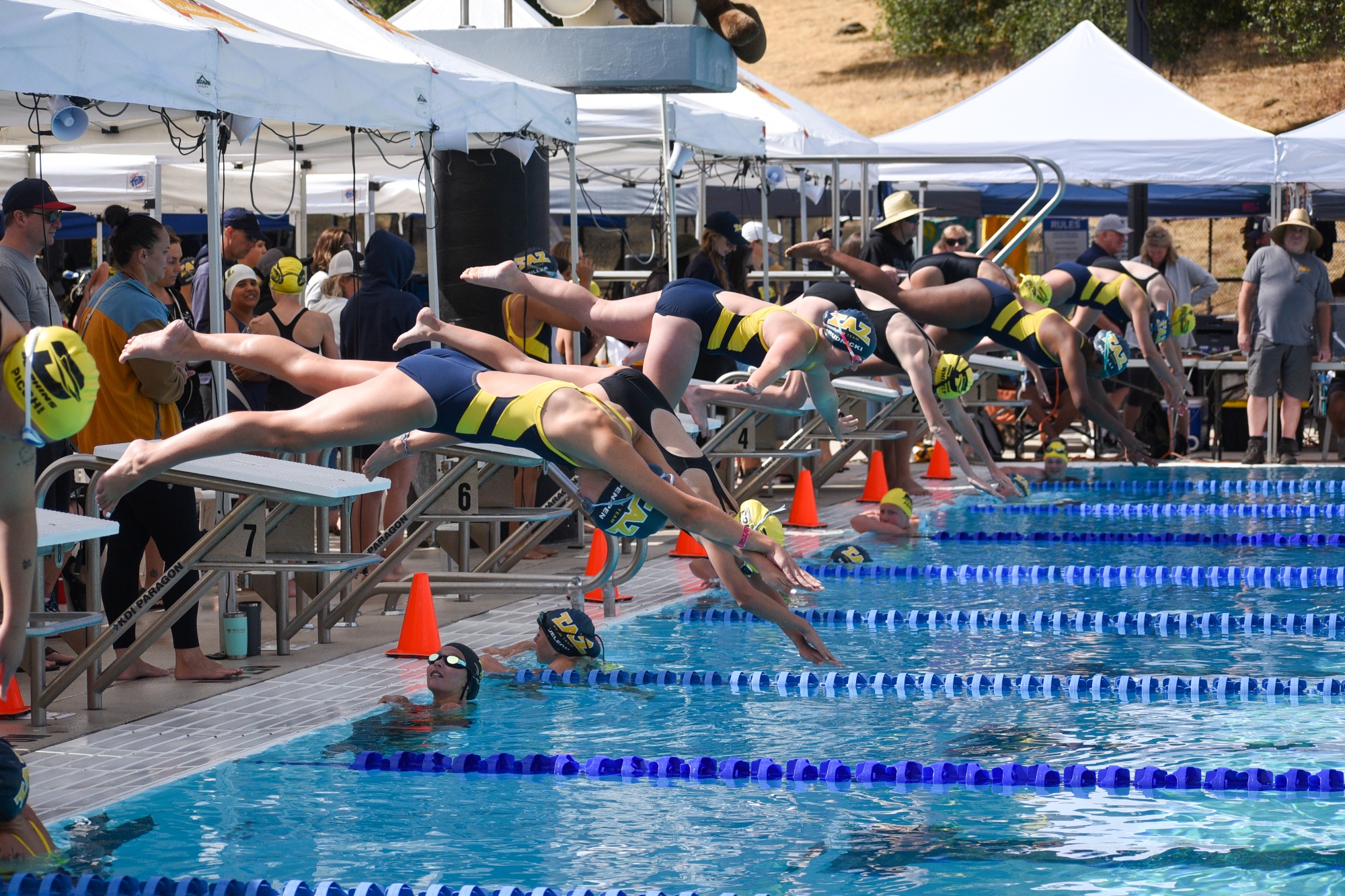 EDH Tasmanian Devils Home